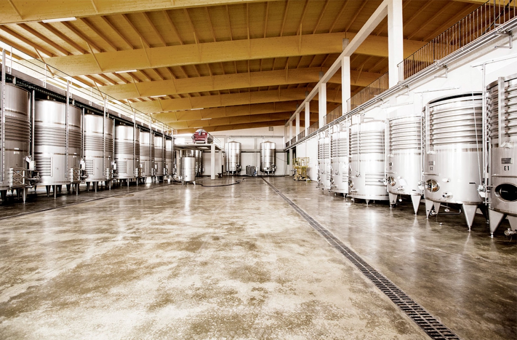 Bodegas Vi Rei – Visita Y Descubre Nuestros Viñedos En Mallorca